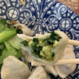 DUMPLING CITY - Updated April 2025 - 181 Photos & 225 Reviews - 3487 El ...