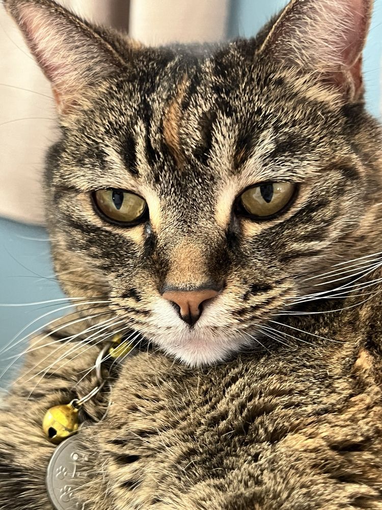 CREIGHTON MIDDLE SCHOOL - Updated November 2025 - 75 Independence St ...