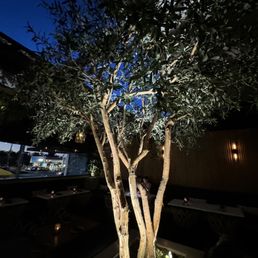 ROUGE - Updated October 2025 - 369 Photos & 200 Reviews - 11282 Ventura ...