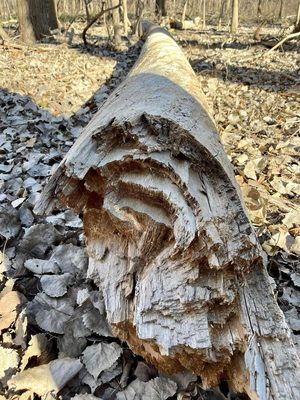 BENBROOK LAKE - Updated November 2025 - 7001 Benbrook Lake Dr, Fort ...