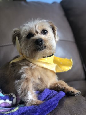 HOUND AROUND RESORT - Updated December 2025 - 29 Photos & 25 Reviews ...