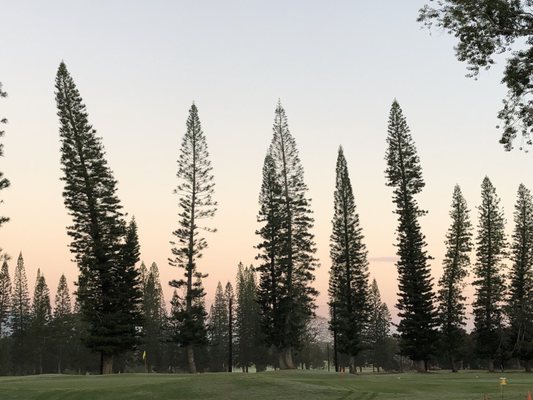 LEILEHUA GOLF COURSE - 84 Photos & 38 Reviews - Golf - 199 Leilehua Rd ...
