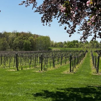 RUSTIC ROOTS WINERY - Updated November 2025 - 151 Photos & 41 Reviews ...