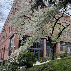 KAISER PERMANENTE RAINIER MEDICAL CENTER - Updated May 2025 - 15 ...