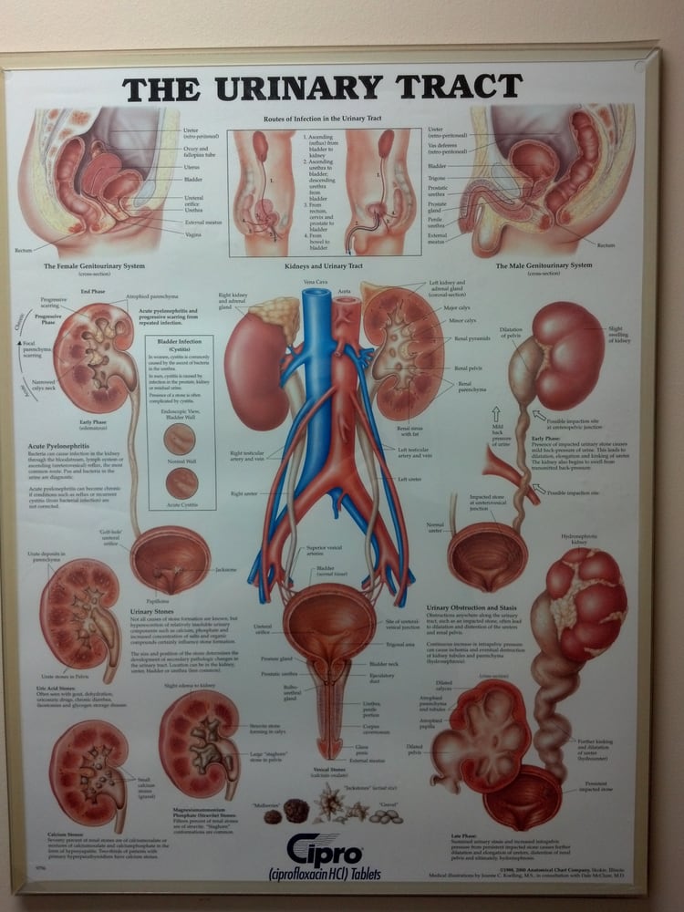 YEE TERRY Q MD - Updated October 2025 - 321 N Kuakini St, Honolulu ...