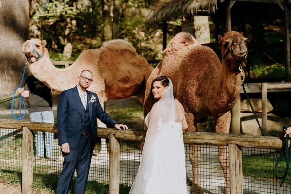 SOUTHWICK’S ZOO - 538 Photos & 265 Reviews - 2 Southwick St, Mendon ...