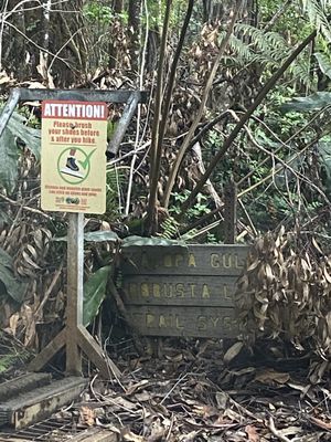 KALOPA STATE PARK - Updated December 2025 - 29 Photos & 12 Reviews - 44 ...