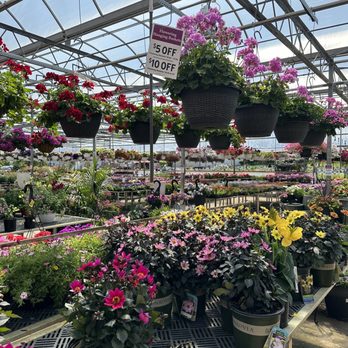 FLOWERLAND - Updated December 2025 - 122 Photos & 25 Reviews - 4321 ...