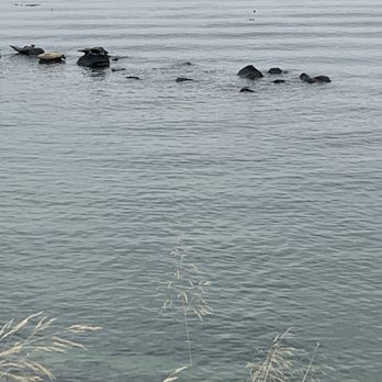 POINT DEFIANCE MARINA & BOATHOUSE - Updated August 2025 - 47 Photos ...