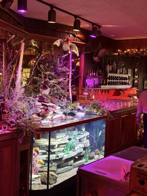 DUCK INN - Updated April 2026 - 235 Photos & 218 Reviews - N6214 State ...