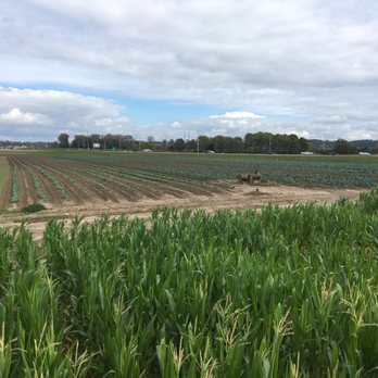 THIES FARM & GREENHOUSES - Updated June 2024 - 33 Photos & 16 Reviews ...