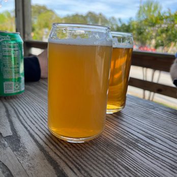 SALTY TURTLE BEER COMPANY - Updated July 2025 - 169 Photos & 121 ...