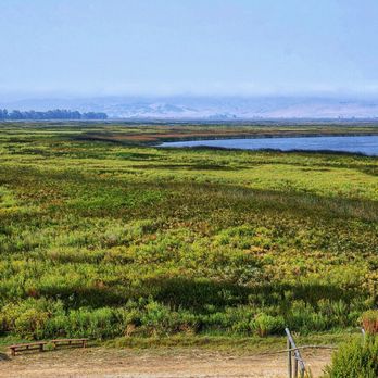 RUSH RANCH OPEN SPACE - Updated January 2026 - 34 Photos & 15 Reviews ...