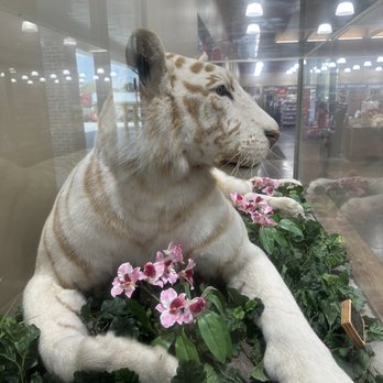 TIGER TRUCK STOP CAFE - Updated July 2025 - 87 Photos & 51 Reviews ...