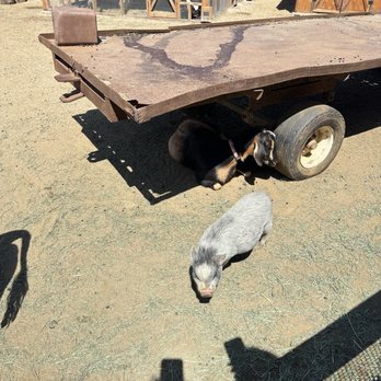 FOX POINT FARMS - Updated June 2025 - 342 Photos & 121 Reviews - 1150 ...