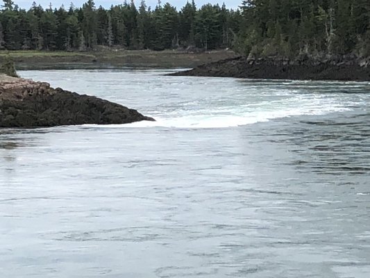 REVERSING FALLS PARK - Updated January 2026 - Pembroke, Maine - Parks ...