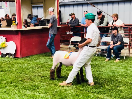 SALINAS VALLEY FAIR - 15 Photos - 625 Division St, King City, CA - Yelp