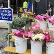 CLEMENT STREET FARMERS MARKET - 445 Photos & 91 Reviews - 200 Clement ...