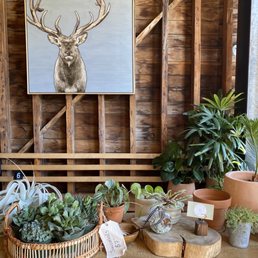 STABLE CAFE - Updated July 2025 - 744 Photos & 698 Reviews - 2128 ...