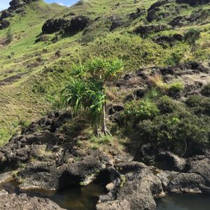 PRIEST’S POOLS - 14 Photos - Merizo, Guam - Yelp