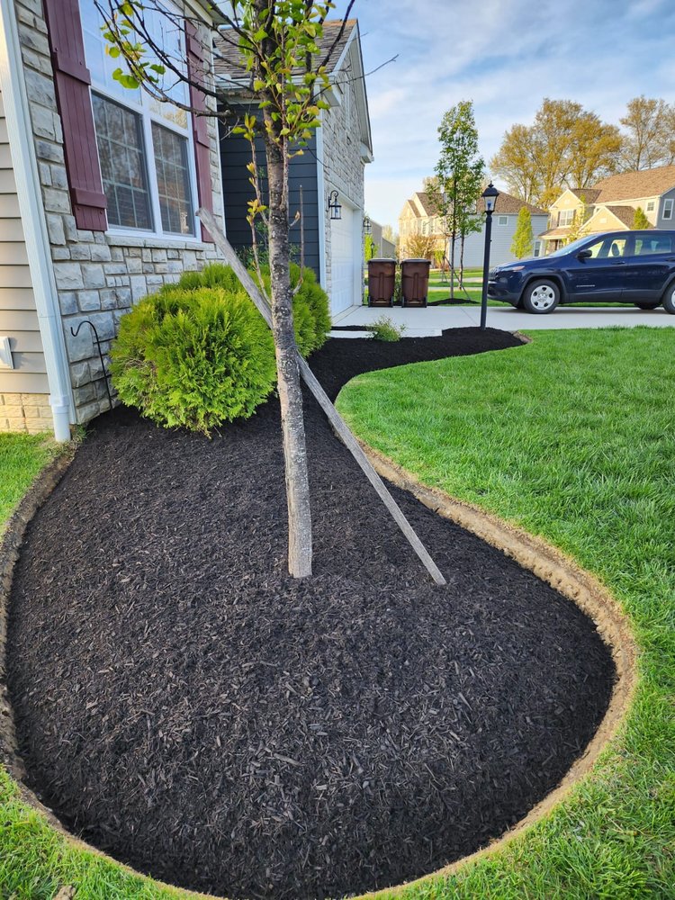 NAVA LANDSCAPING & TREE SERVICE - Updated September 2025 - 122 Photos ...