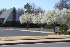 EMERSON FUNERAL HOME - Updated October 2025 - 1629 E Nettleton Ave ...