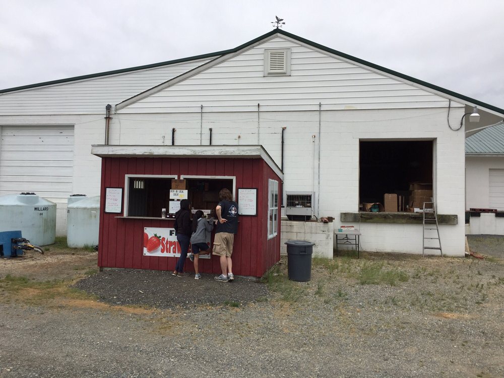 FAIRVIEW SOD FARM - Updated June 2026 - 11 Photos - 380 Green Giant Rd ...