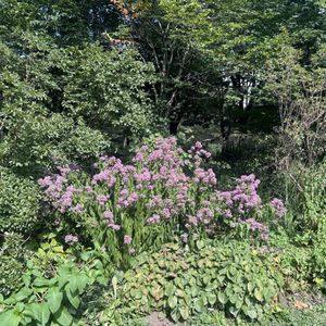 PHS MEADOWBROOK FARM - Updated October 2025 - 70 Photos & 16 Reviews ...