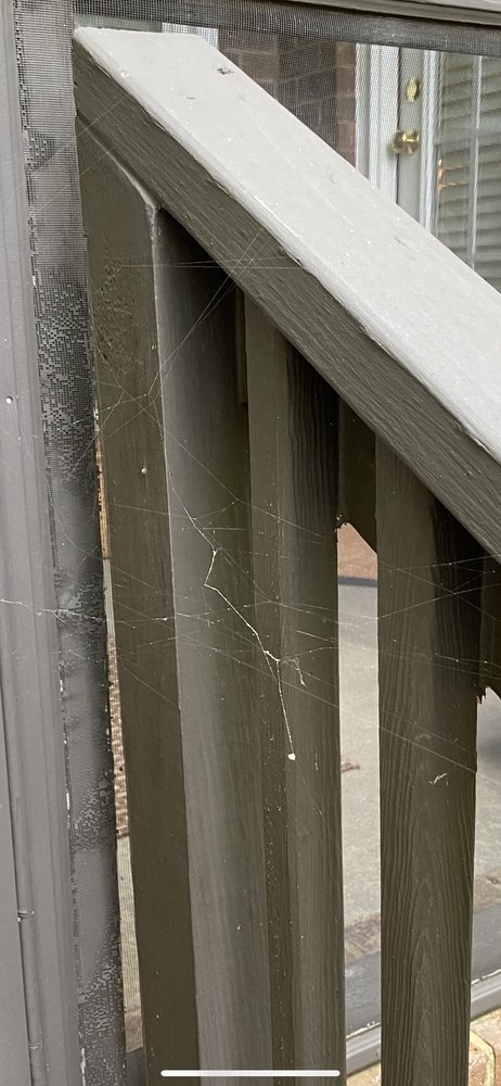 WAYNES PEST CONTROL - Updated December 2025 - 16 Photos & 24 Reviews ...