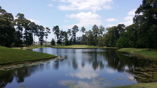 AUGUSTA PINES GOLF CLUB - Updated April 2026 - 48 Photos & 36 Reviews ...
