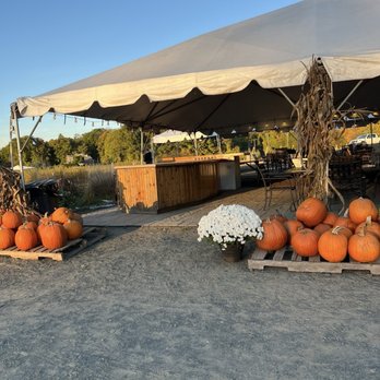 ROSEDALE FARM AND VINEYARD - Updated December 2025 - 228 Photos & 71 ...