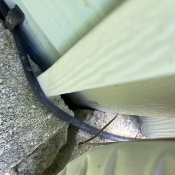 MCCALL PEST & WILDLIFE - Updated September 2025 - 48 Photos - 2610 ...