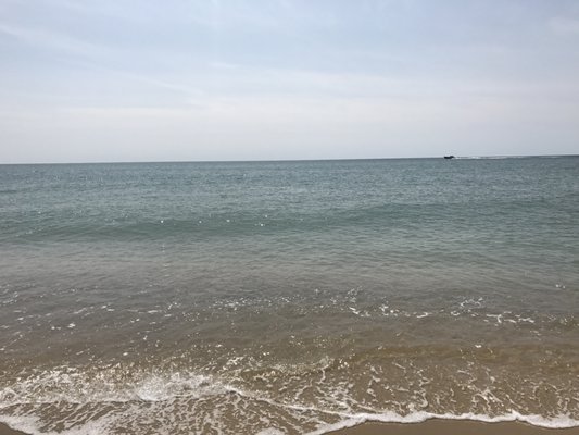 KATAMA BEACH - Updated October 2025 - 555 Katama Rd, Edgartown ...