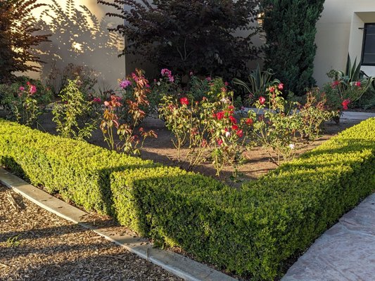 SOUTH GATE PARK /SPORTS CENTER - Updated September 2025 - 145 Photos ...