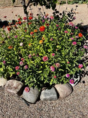 COYOTE’S COFFEE DEN - Updated January 2026 - 216 Photos & 198 Verified ...