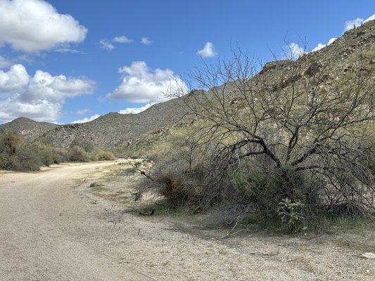 WILD BURRO TRAILHEAD - Updated August 2025 - 14810 N Secret Springs Dr ...