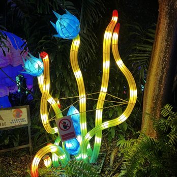 JUNGLE ISLAND - Updated December 2024 - 1184 Photos & 520 Reviews ...