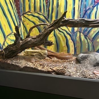 CALM ZOO - Updated December 2024 - 464 Photos & 162 Reviews - 10500 ...