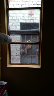 BUDGET INN HOLLYWOOD - Updated December 2025 - 27 Photos & 32 Reviews ...