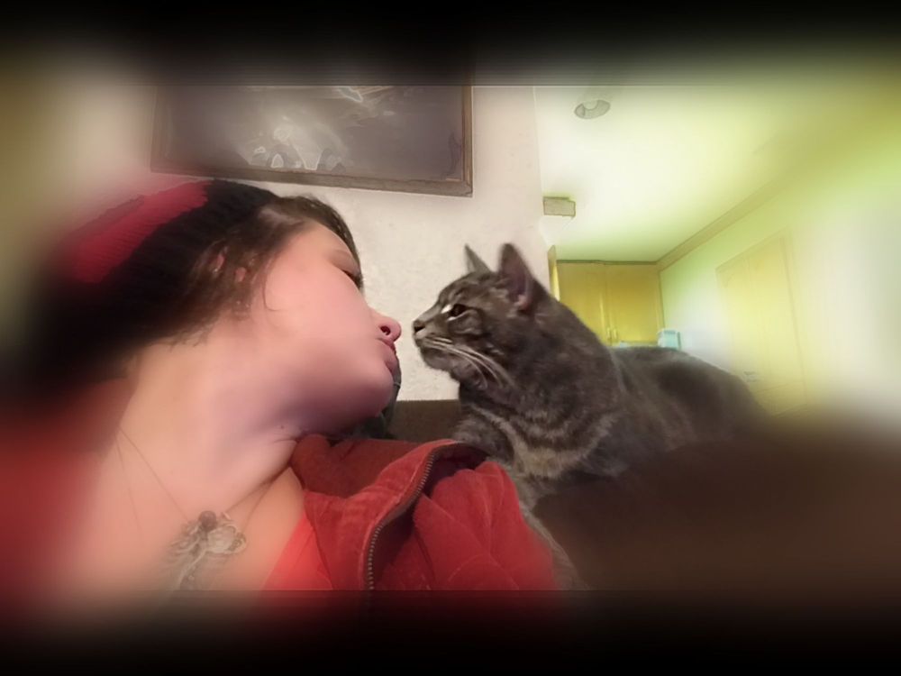 FLUFF BUDDIES - 12 Photos - North Highlands, California - Animal ...