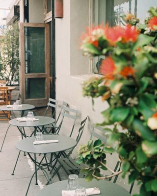 FIG TREE VENICE - Updated January 2025 - 1111 Photos & 682 Reviews ...