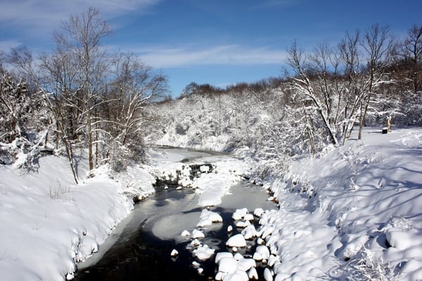 HOLMES RUN SCENIC EASEMENT - Updated May 2025 - 20 Photos - Holmes Run ...