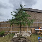 LAWNS TREE FARM - 31 Photos - 400 Honeycomb Mesa, Leander, TX - Yelp