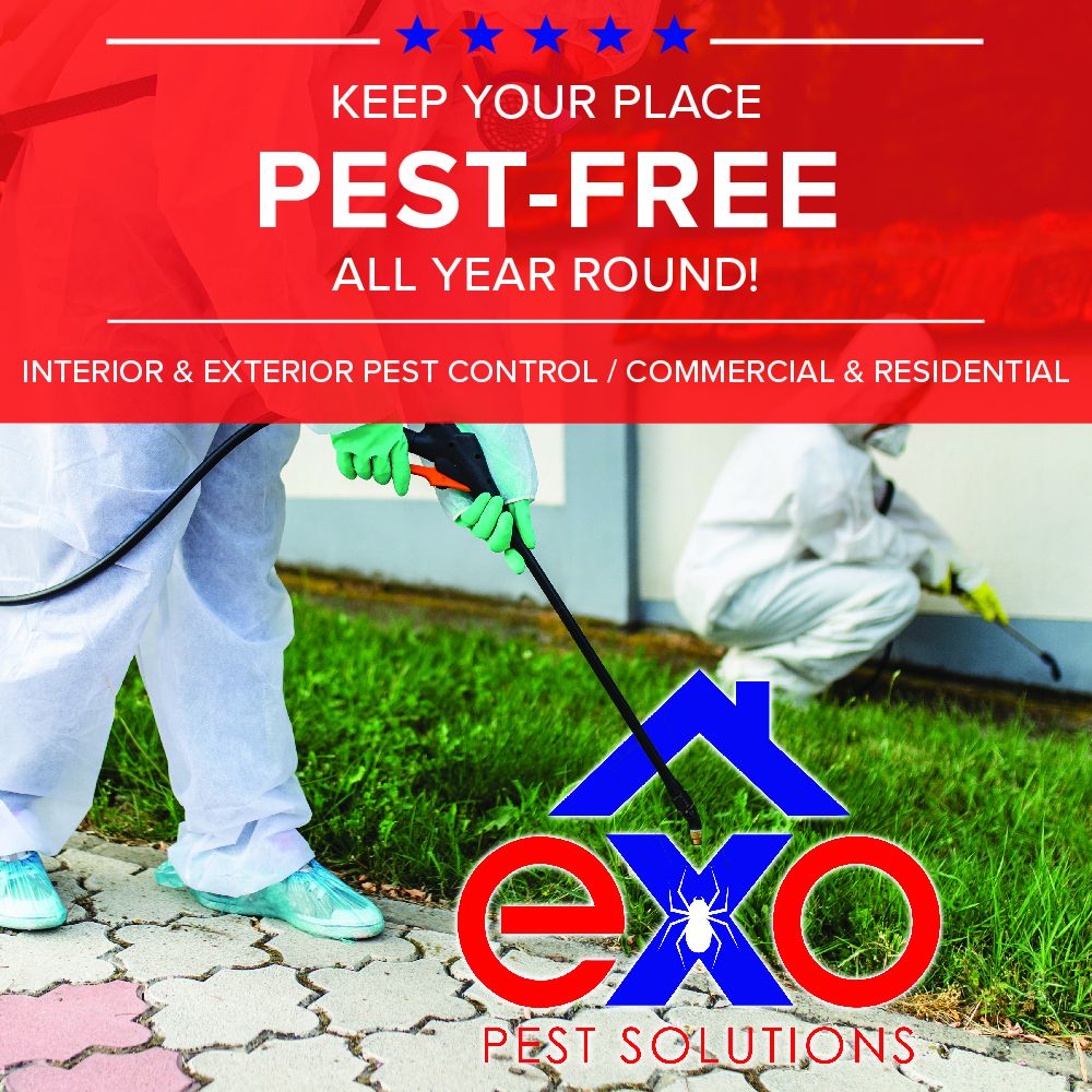 EXO PEST SOLUTIONS - Updated September 2025 - 28 Photos & 16 Reviews ...