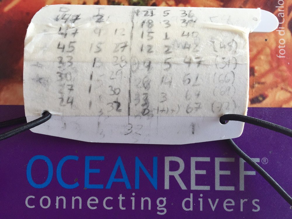 IL GRANDE BLU - Strada Statale 227 8C, Pedale, Genova, Italy - Free ...