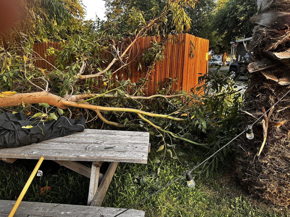 RANCHO MARINA - Updated July 2025 - 419 W 9th St, Isleton, California ...