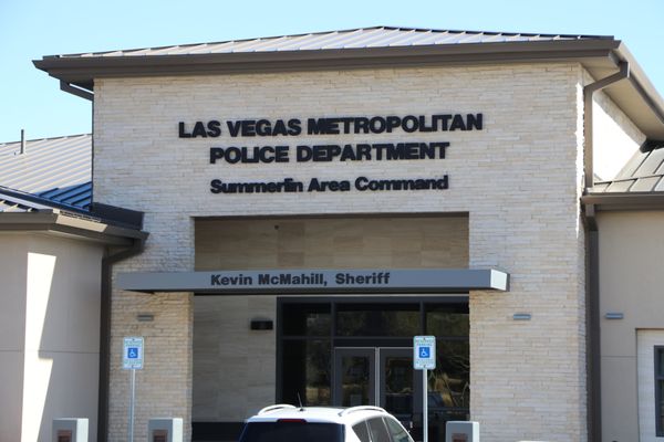 LAS VEGAS METROPOLITAN POLICE DEPARTMENT-SUMMERLIN AREA COMMAND ...