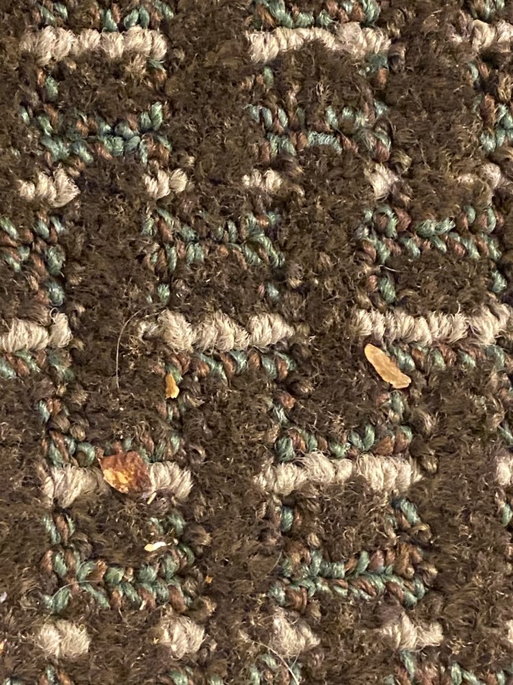 CAROLINA PINES INN - Updated April 2025 - 24 Photos - 464 Myers St ...