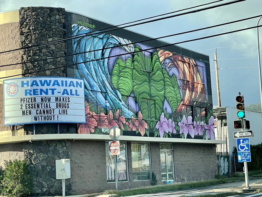 HAWAIIAN RENT-ALL - Updated February 2025 - 41 Photos & 53 Reviews ...