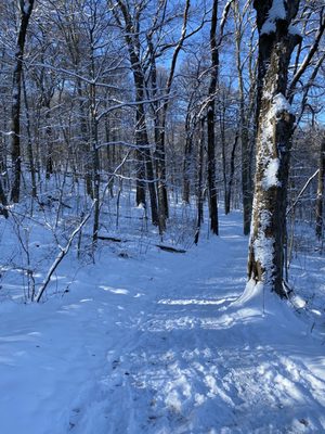 CHESTNUT RIDGE METRO PARK - Updated December 2025 - 69 Photos & 24 ...